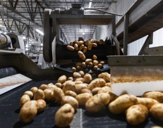 Keystone Potato Products | High Quality Potato Suppliers