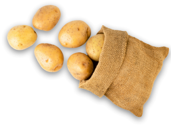 Fresh Cut Potatoes | Keystone Potato Products