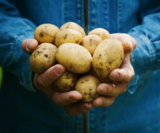 About Us | Keystone Potato Products