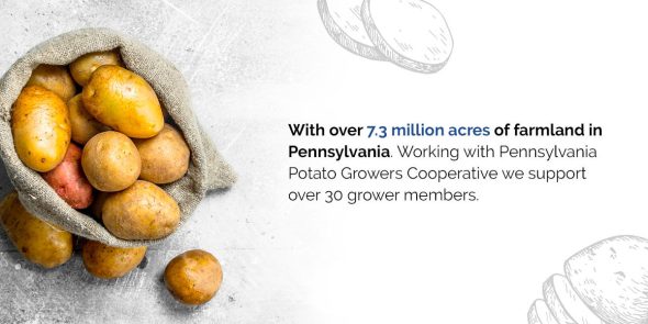 Proudly Sustainable | Keystone Potato Products