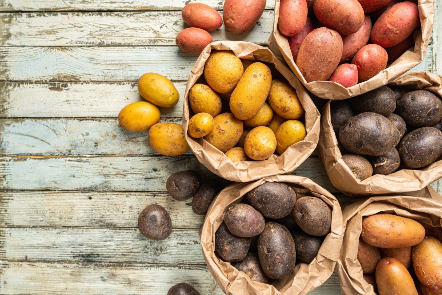 How to Store Potatoes and Make Them Last | Keystone Potato